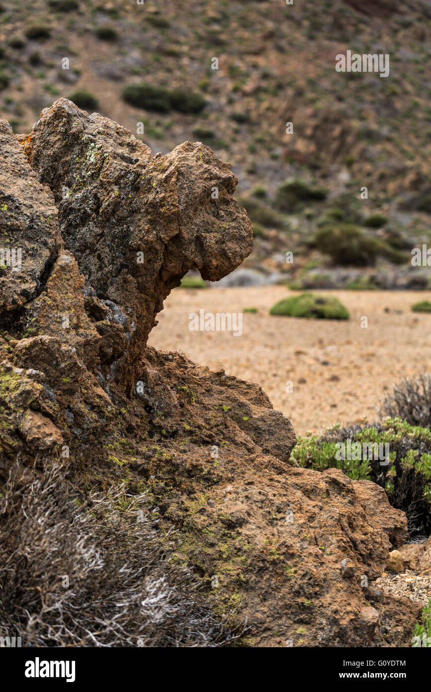 Look alive hi-res stock photography and images - Alamy