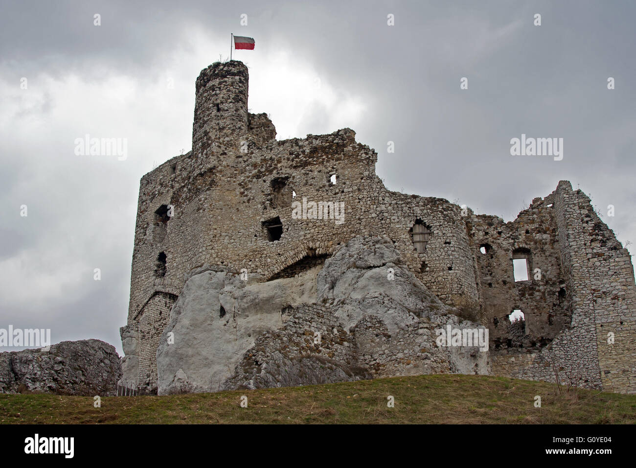 Ruined medieval castle with tower in Mirow, Poland Stock Photo - Alamy
