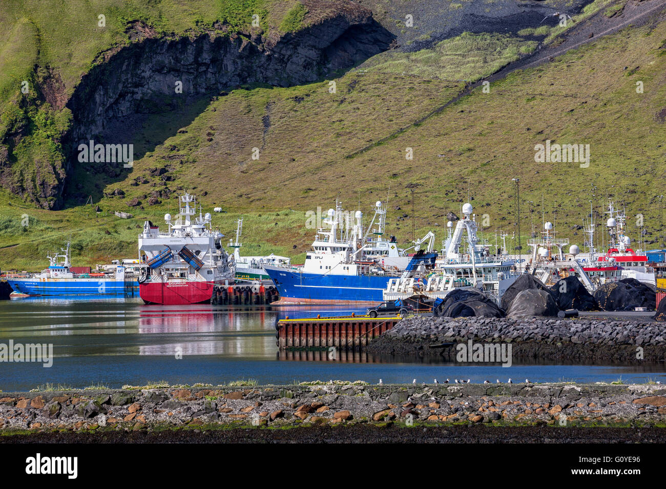 August 3, 2015 - Fishing trawlers in Heimaey harbor beneath the ...