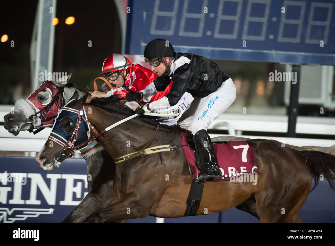 Qatar racing equestrian club doha hi-res stock photography and images ...
