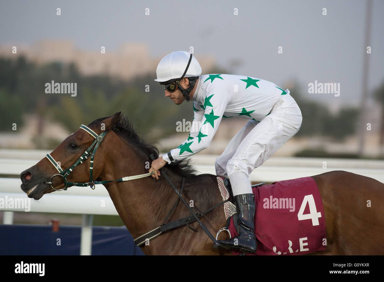 Qatar racing equestrian club doha hi-res stock photography and images ...