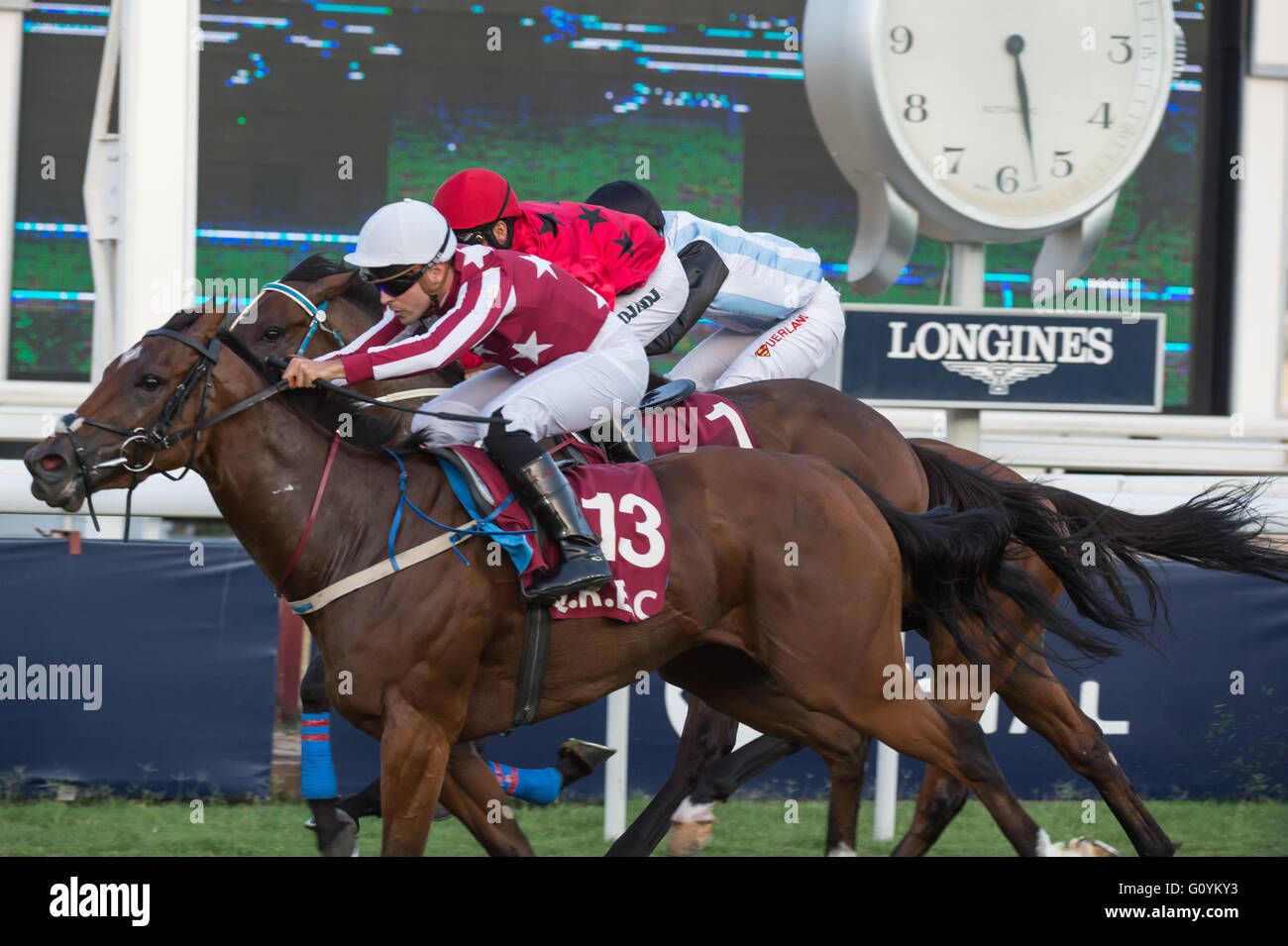 Qatar racing equestrian club doha hi-res stock photography and images ...