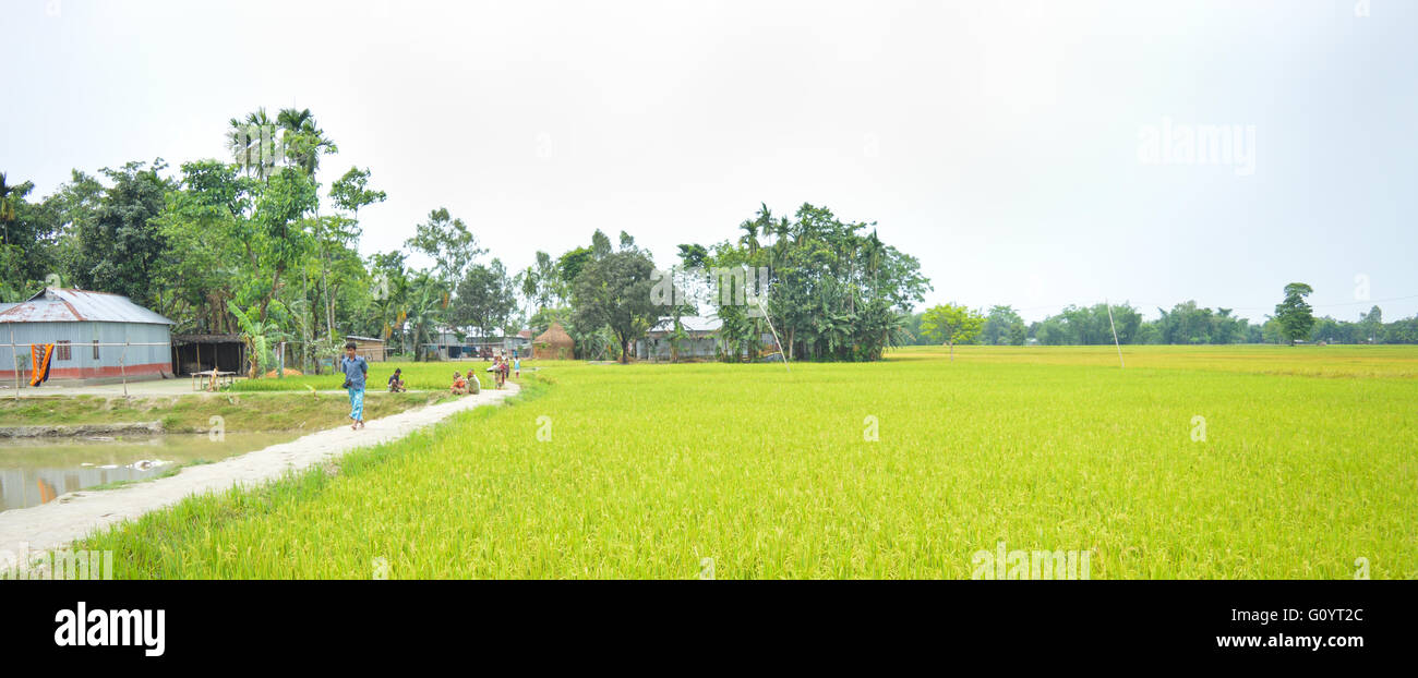 Kolkata, India. 04th May, 2016. voters in the erstwhile Indo-Bangladesh ...