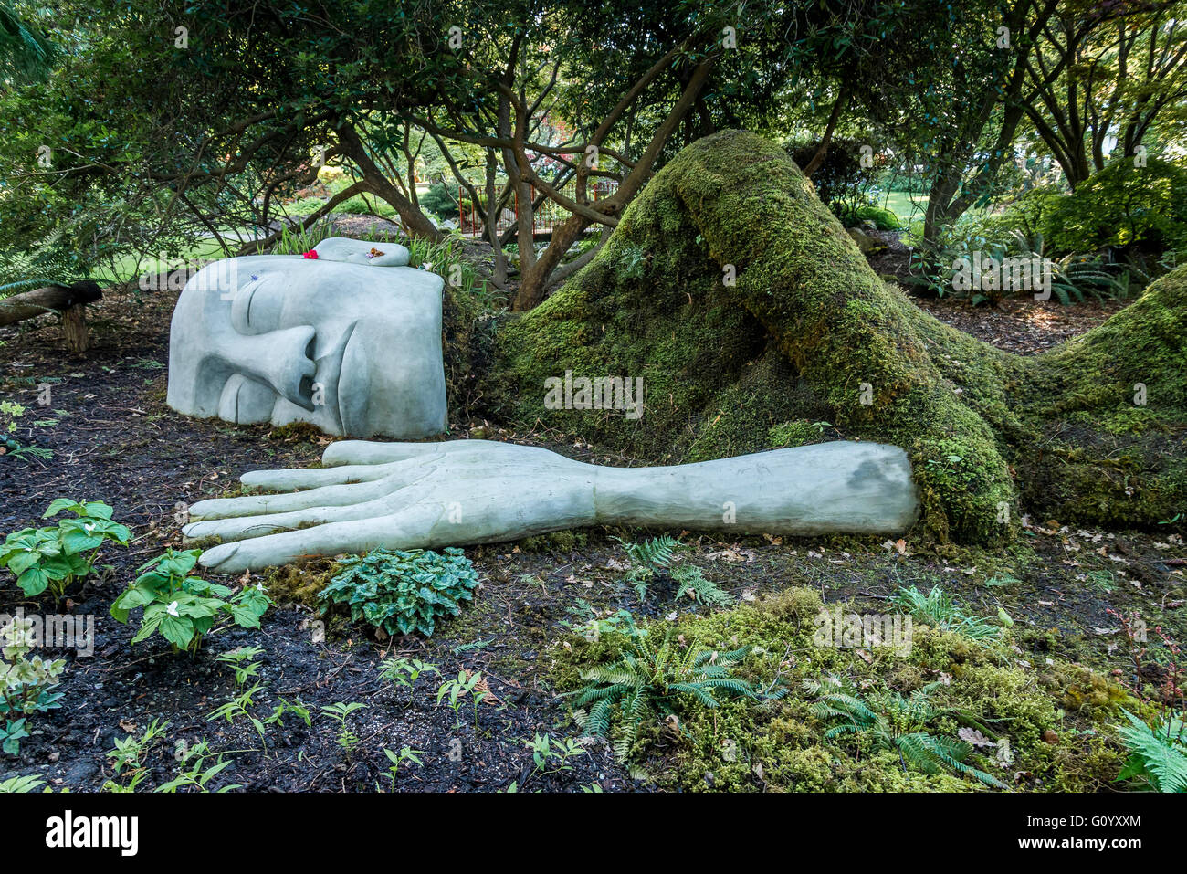 Moss Lady High Resolution Stock Photography and Images - Alamy