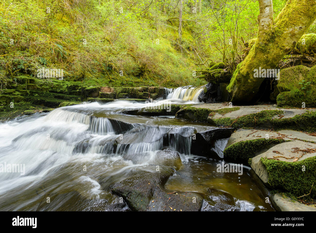 Errington british columbia hi-res stock photography and images - Alamy