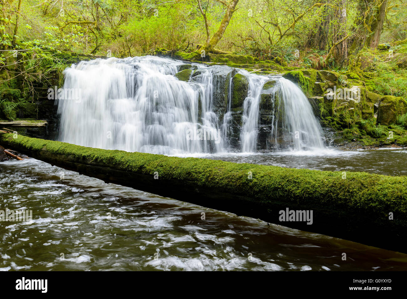 Triple Falls, Errington, Vancouver Island. British Columbia, Canada ...