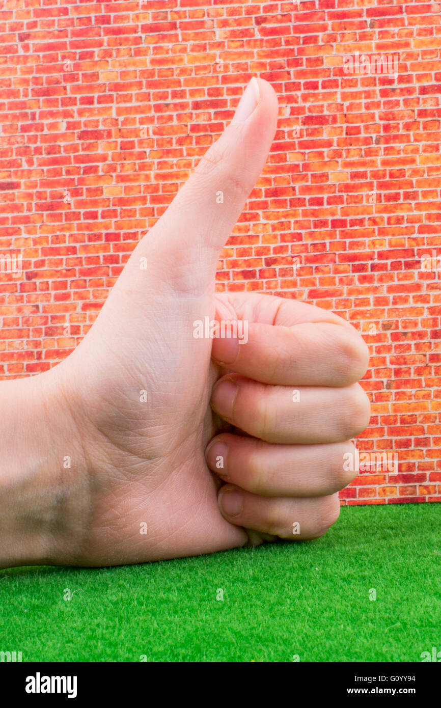 thumb up on a brick wall background Stock Photo - Alamy