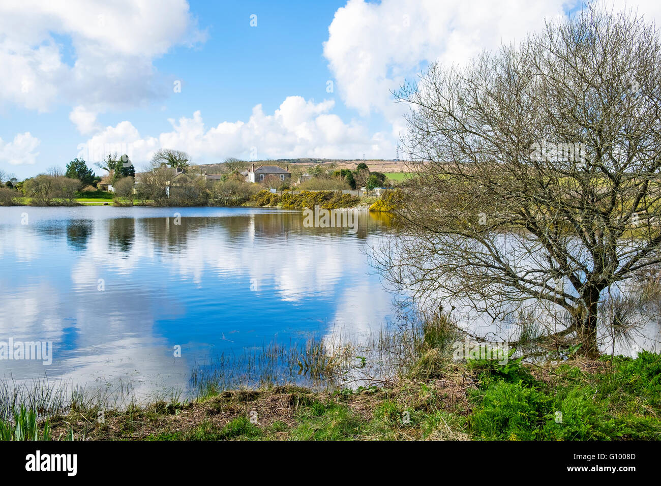 Stithians lake, cornwall hi-res stock photography and images - Alamy