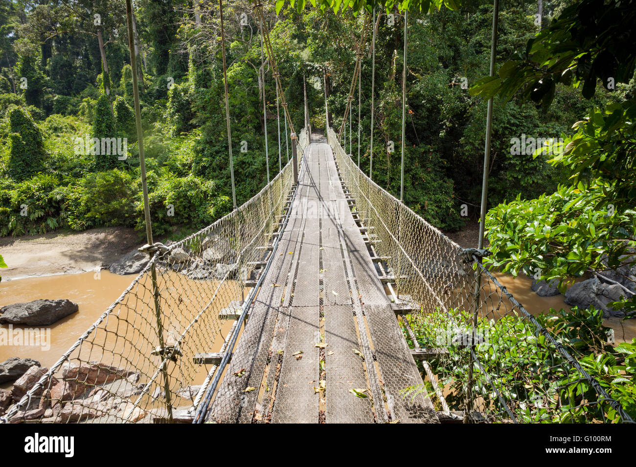 Danum Valley Conservation area, Sabah, Malaysian Borneo. The natural ...