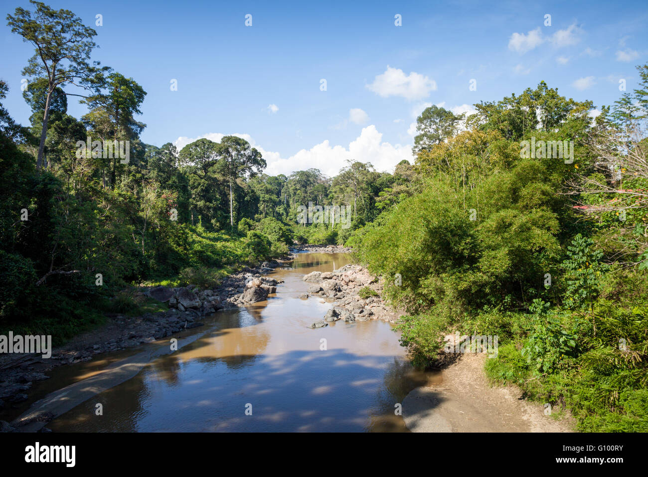 Danum Valley Conservation area, Sabah, Malaysian Borneo. The natural ...