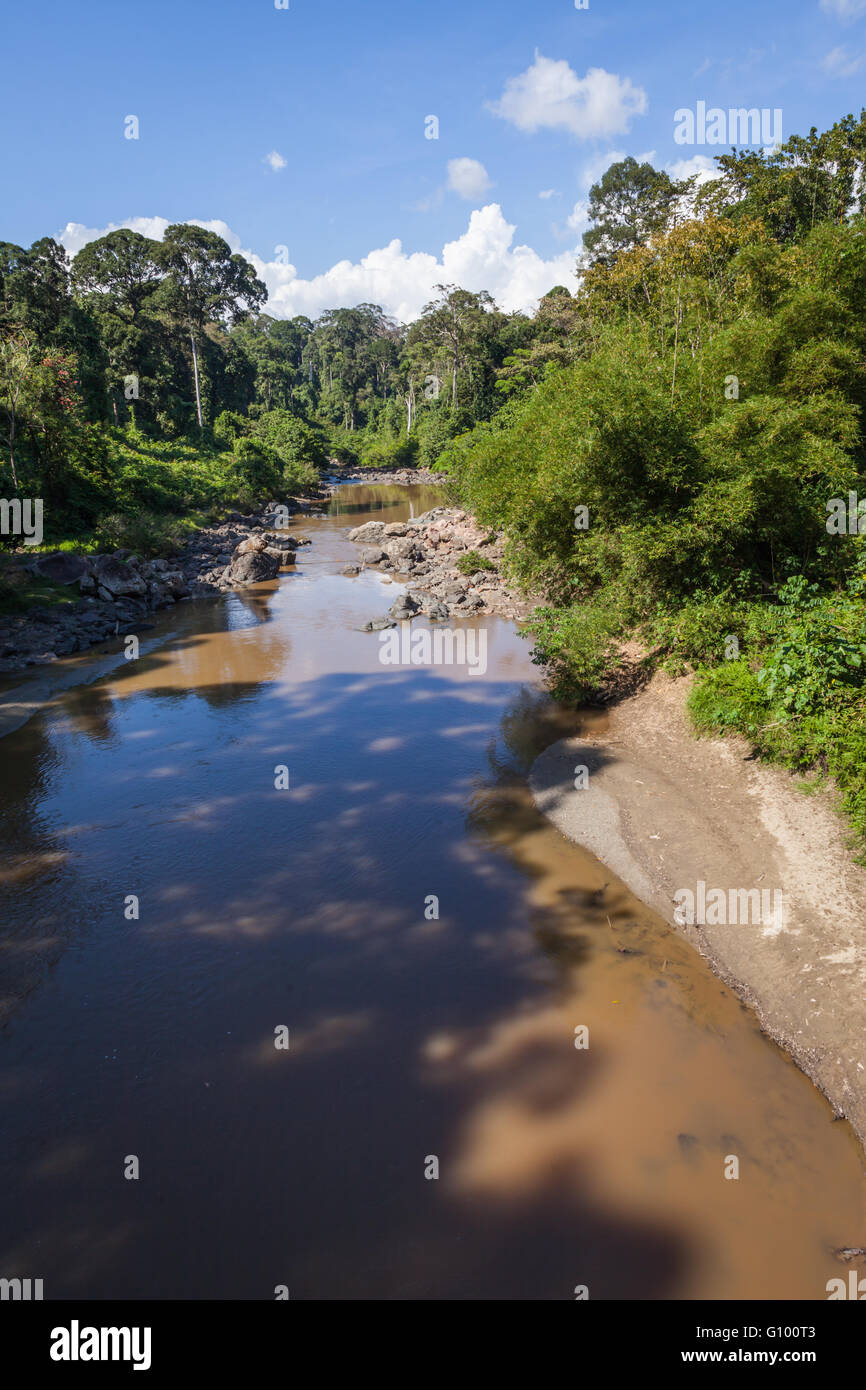 Danum Valley Conservation area, Sabah, Malaysian Borneo. The natural ...