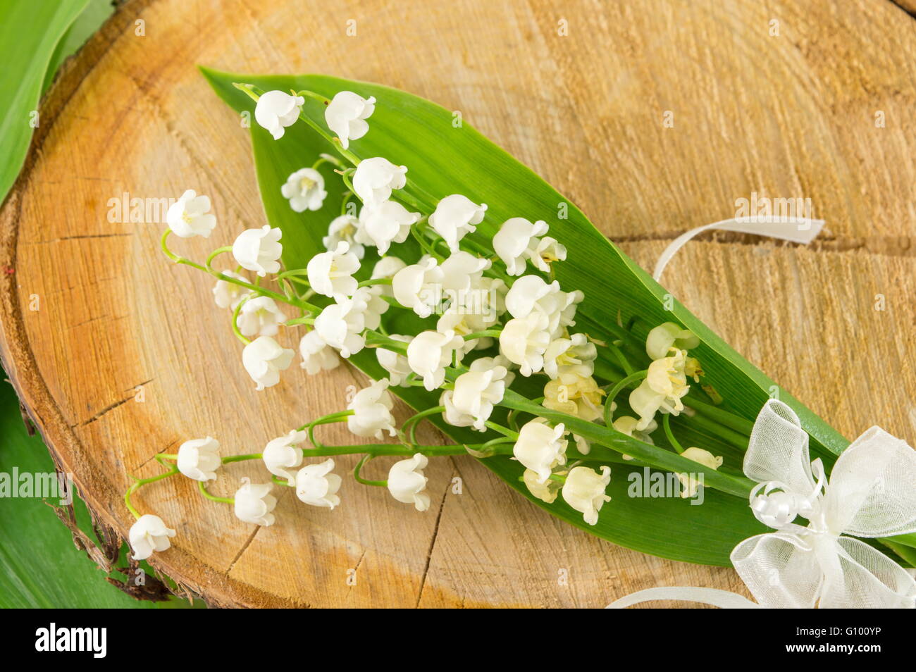 Lily valley bloom may hi-res stock photography and images - Alamy