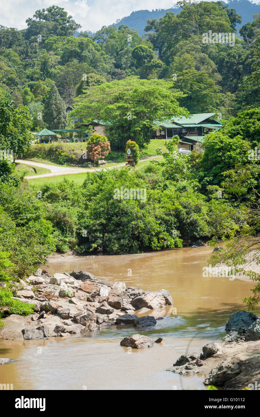 Danum Valley Conservation area, Sabah, Malaysian Borneo. The natural ...