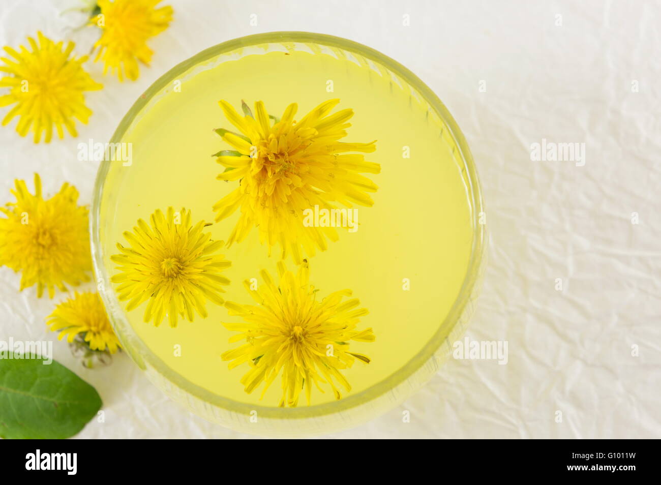 Dandelion tree with fresh dandelion flowers Stock Photo - Alamy