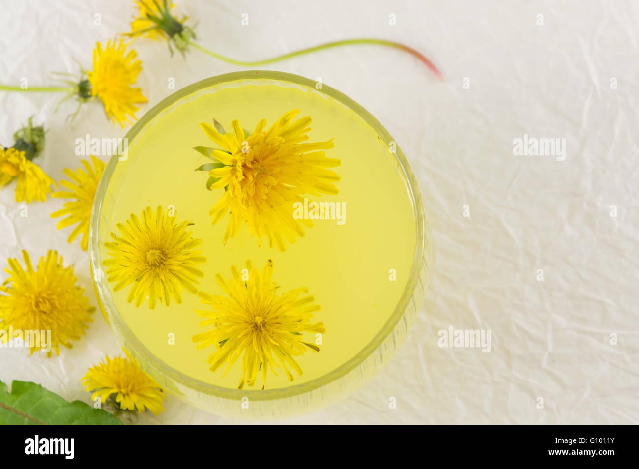 Dandelion tree with fresh dandelion flowers Stock Photo - Alamy
