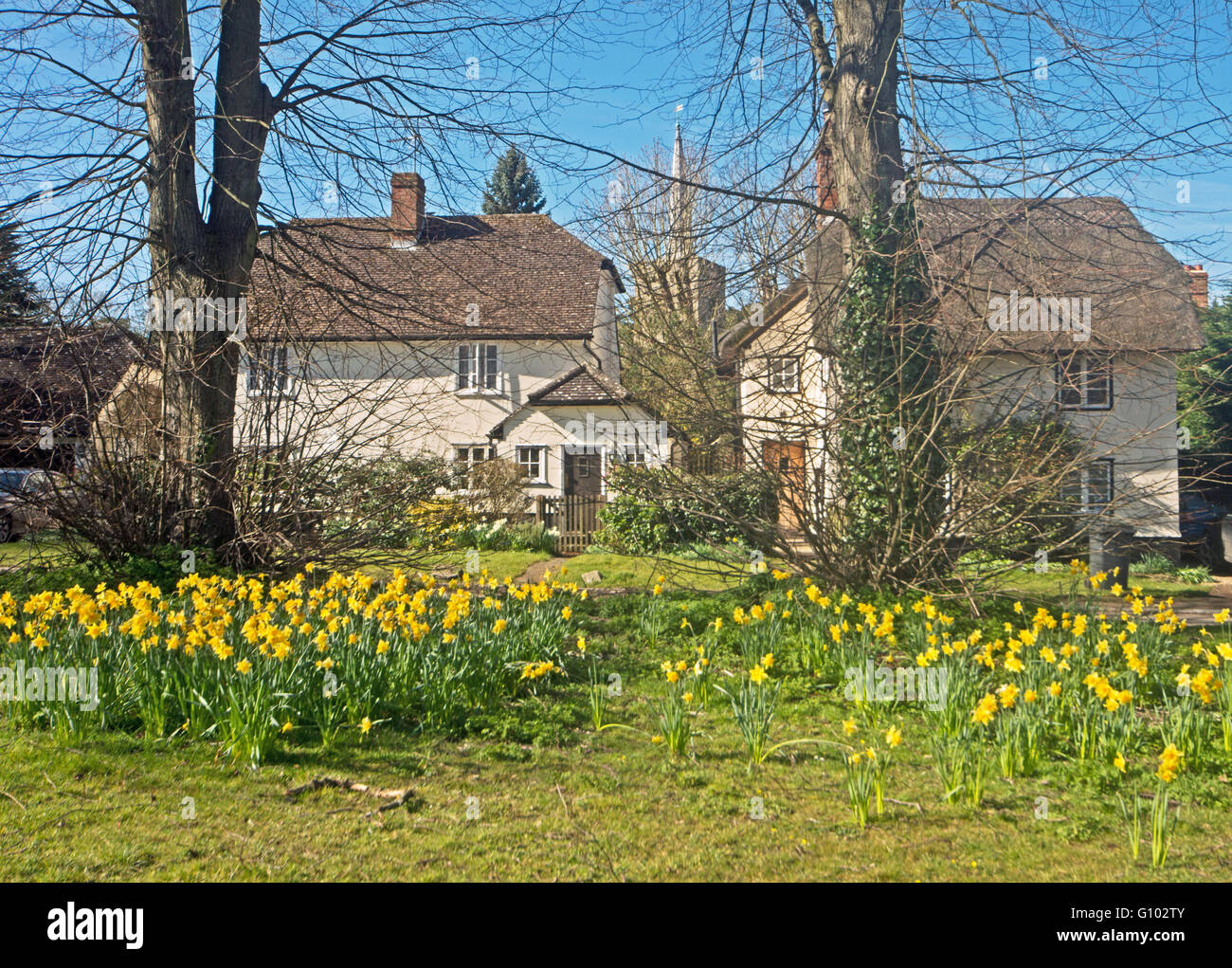 Cottered hi-res stock photography and images - Alamy