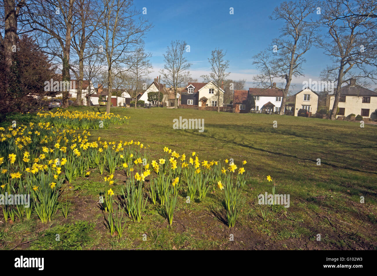 Cottered hertfordshire hi-res stock photography and images - Alamy