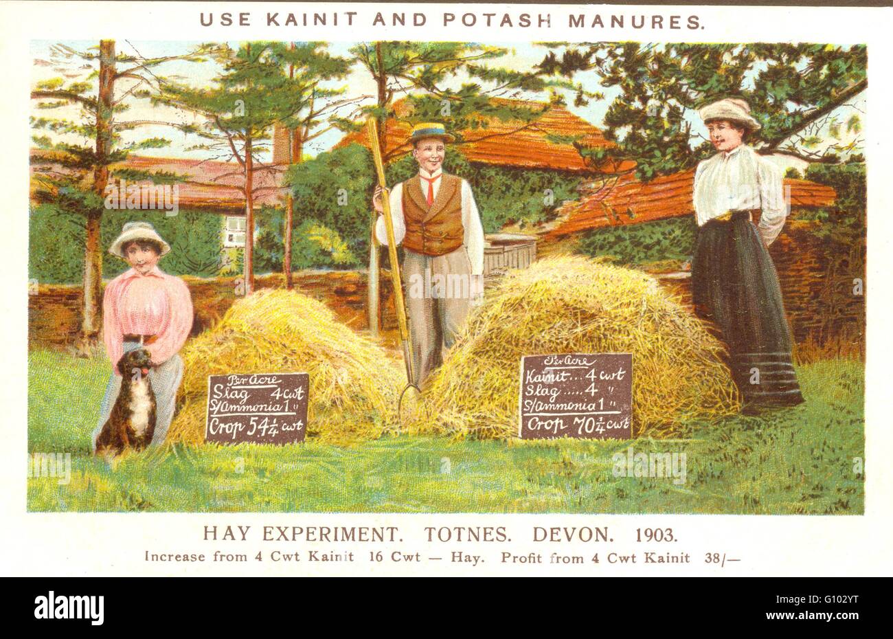 Edwardian farming hi-res stock photography and images - Alamy