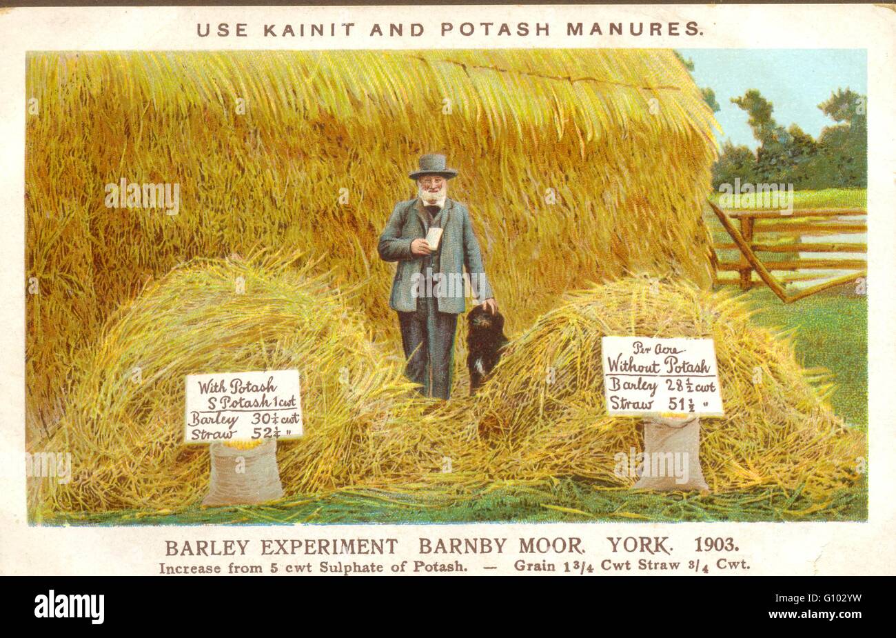 Kainit hi-res stock photography and images - Alamy