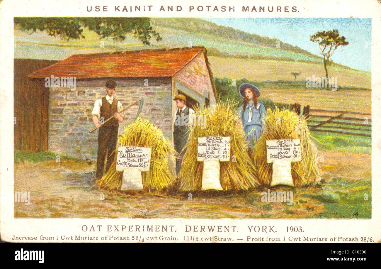 Advertising postcard for Kainit Fertiliser or Potash Salts Stock Photo ...