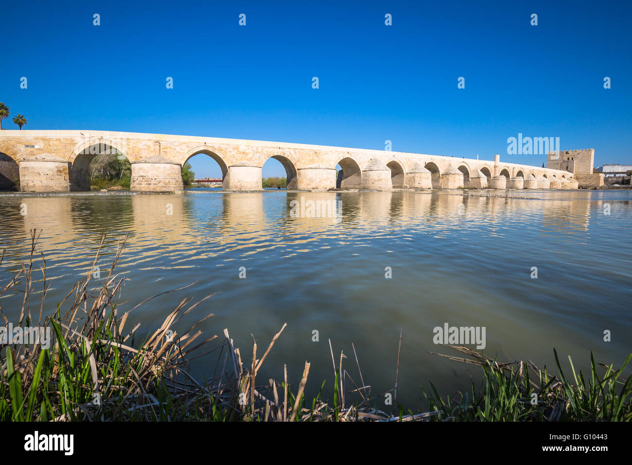 Bridge at Cordoba Spain - nature and architecture background Stock ...