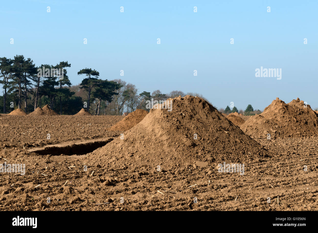 Archaeological digs hi-res stock photography and images - Alamy