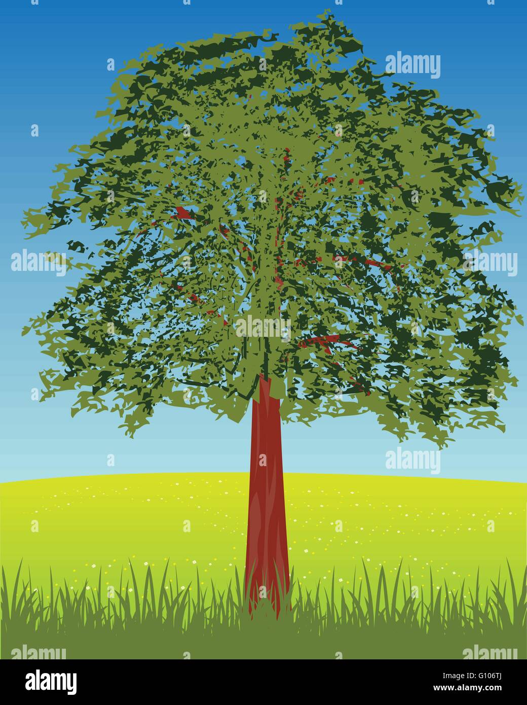 Summer glade and tree with foliage.Vector illustration Stock Vector ...
