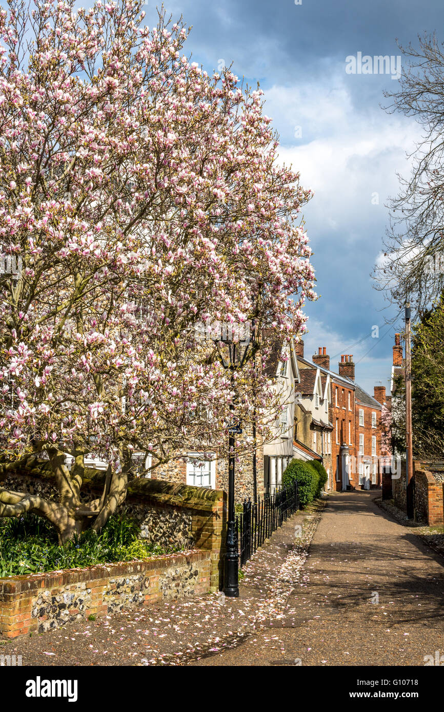 Norwich old street hi-res stock photography and images - Alamy