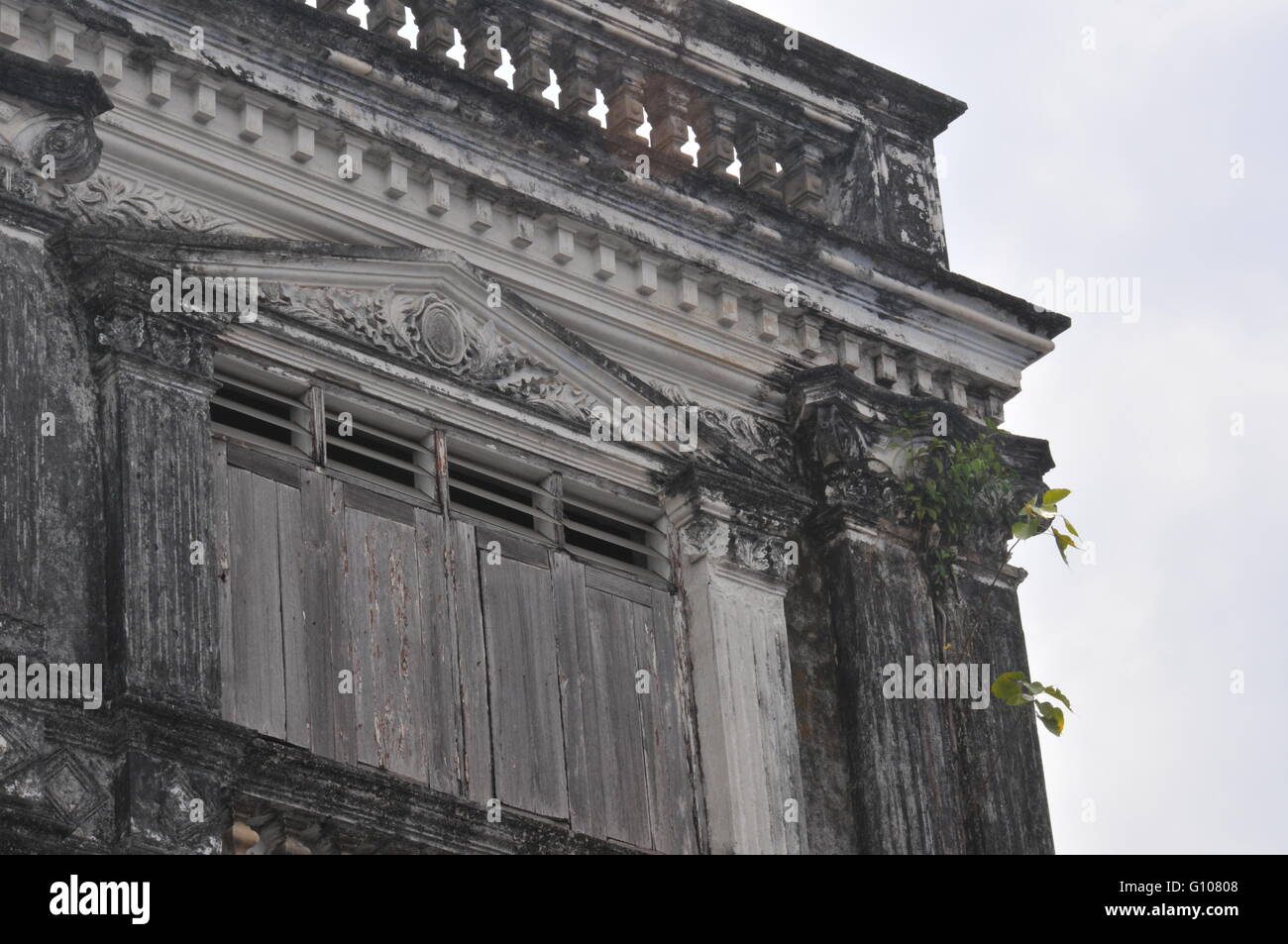 Tangled weeds hi-res stock photography and images - Alamy