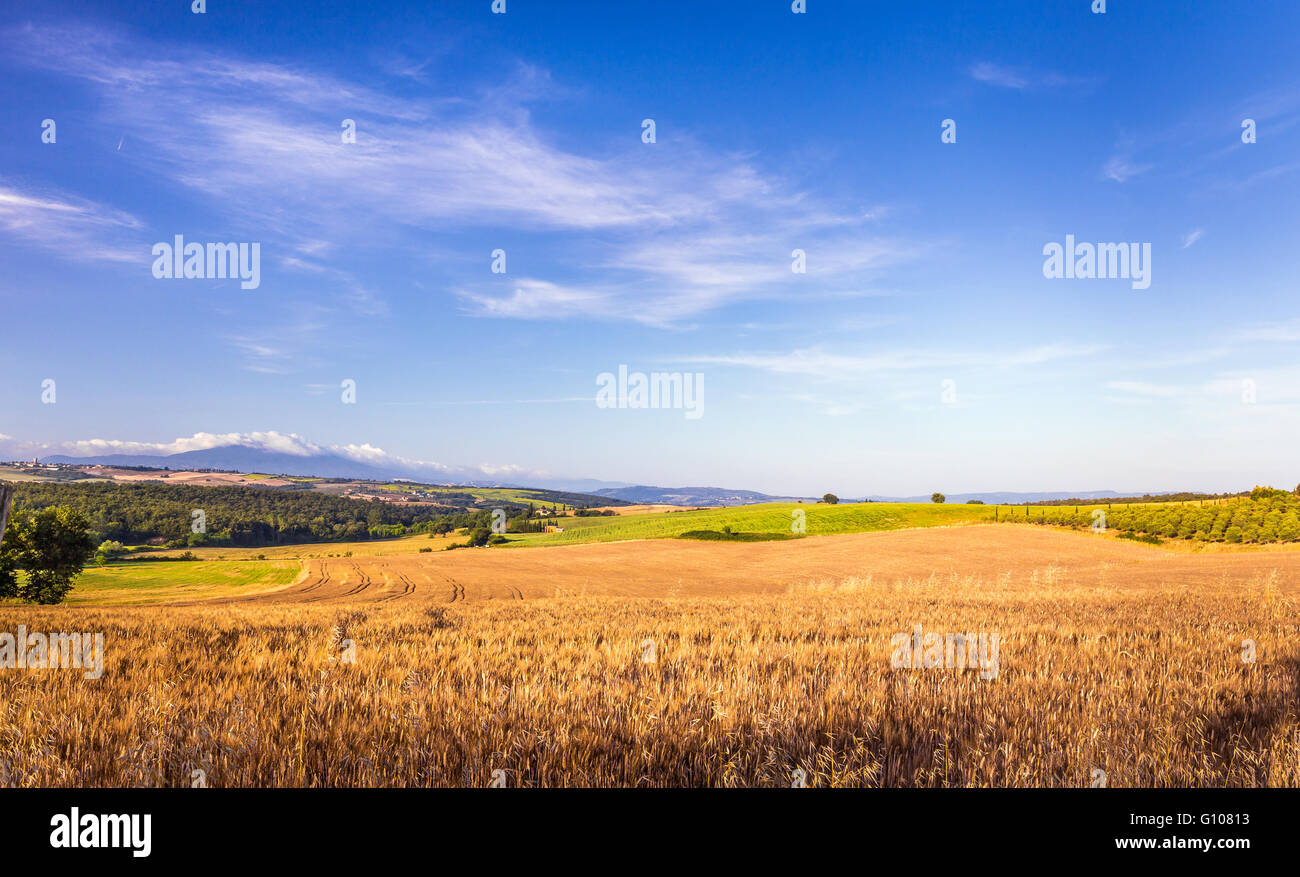 Tuscany summer landscape hi-res stock photography and images - Alamy