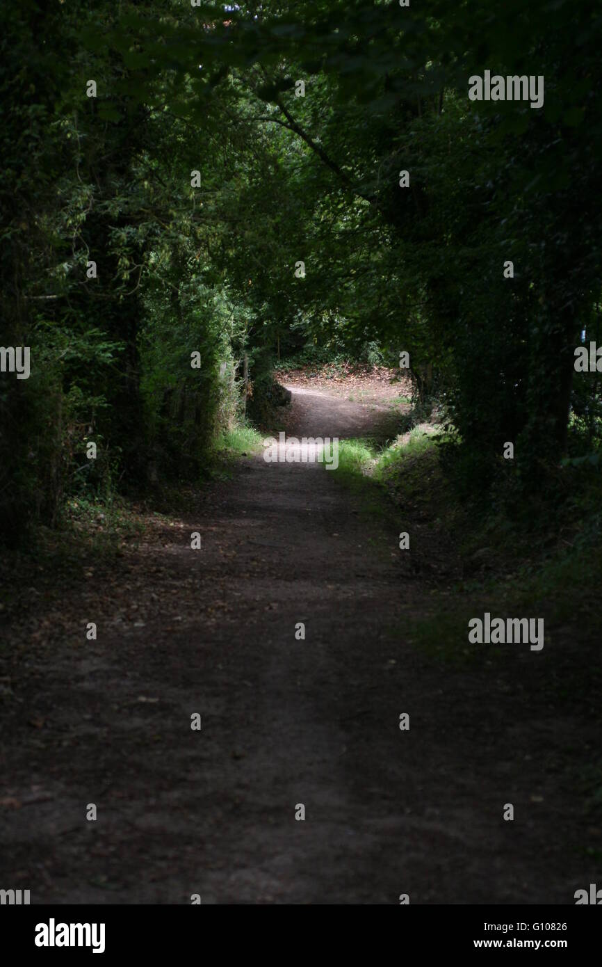 Dark walkway green path in woodland in the countryside Stock Photo - Alamy
