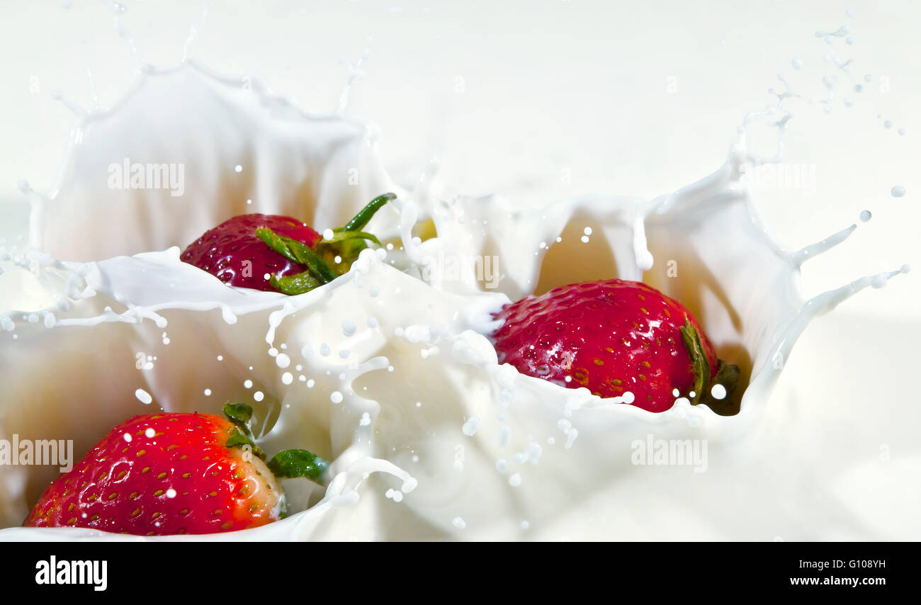 Micro studio photography work Stock Photo - Alamy