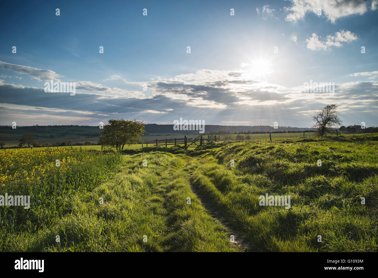 Stunning English countryside landscape over fields at sunset Stock ...