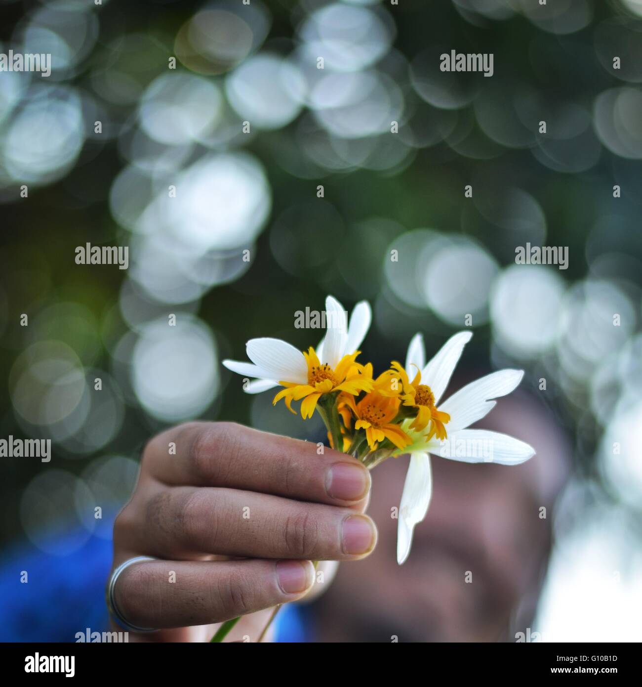 Offering A Flower Stock Photo - Alamy