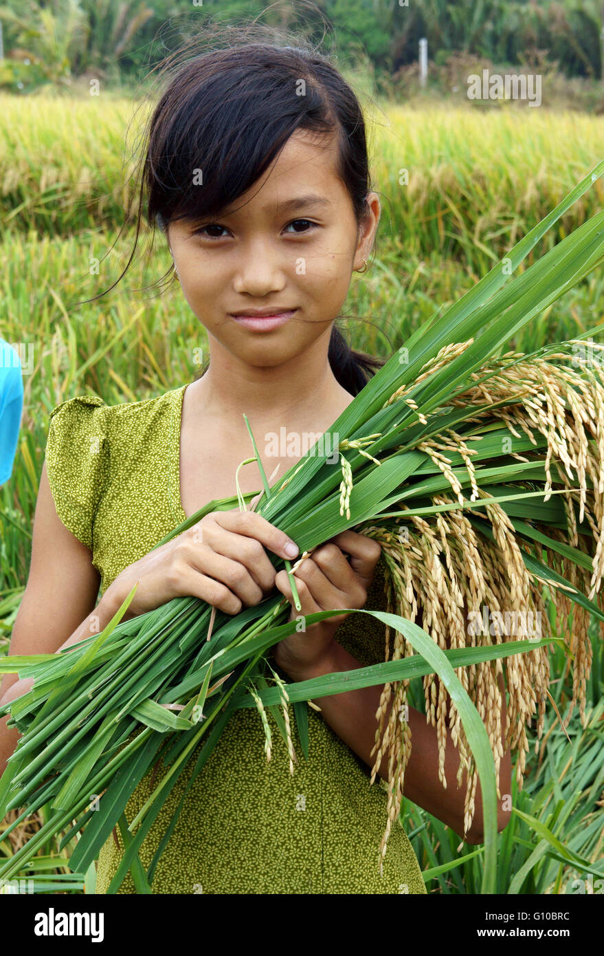 SOC TRANG, VIET NAM, Asia children on rice field, Vietnamese kid hold ...