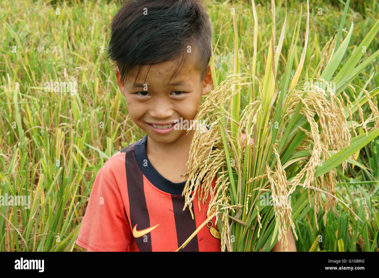 Children playing at the rice field hi-res stock photography and images ...