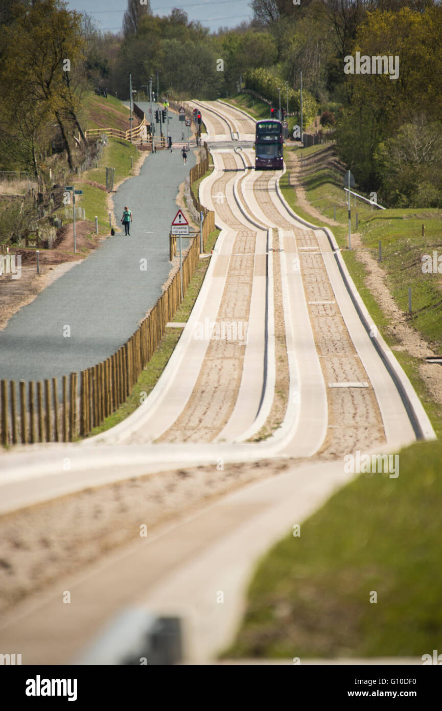 Purple bus approaching on new dedicated busway, green grass verge ...