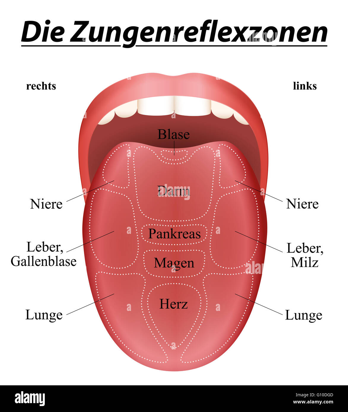 Reflexology chart hi-res stock photography and images - Alamy Reflexology chart hi-res stock photography and images - Alamy