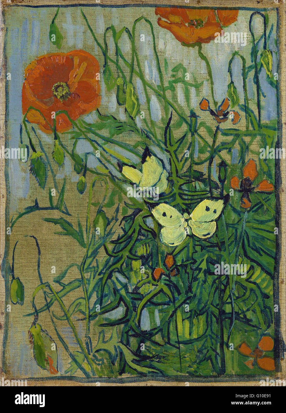 Vincent van Gogh - Butterflies and poppies - Van Gogh Museum, Amsterdam ...