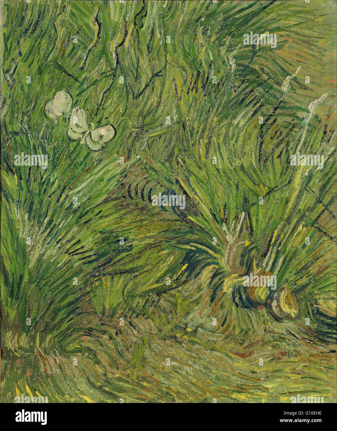 Vincent van Gogh - Garden with butterflies - Van Gogh Museum, Amsterdam ...