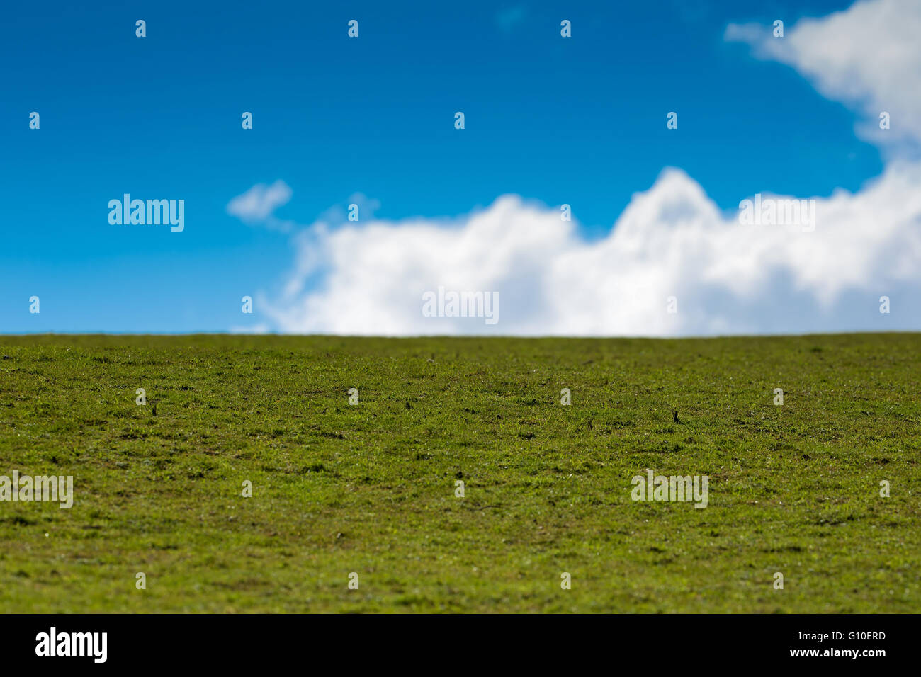 Horizon landscape with blue sky Stock Photo - Alamy