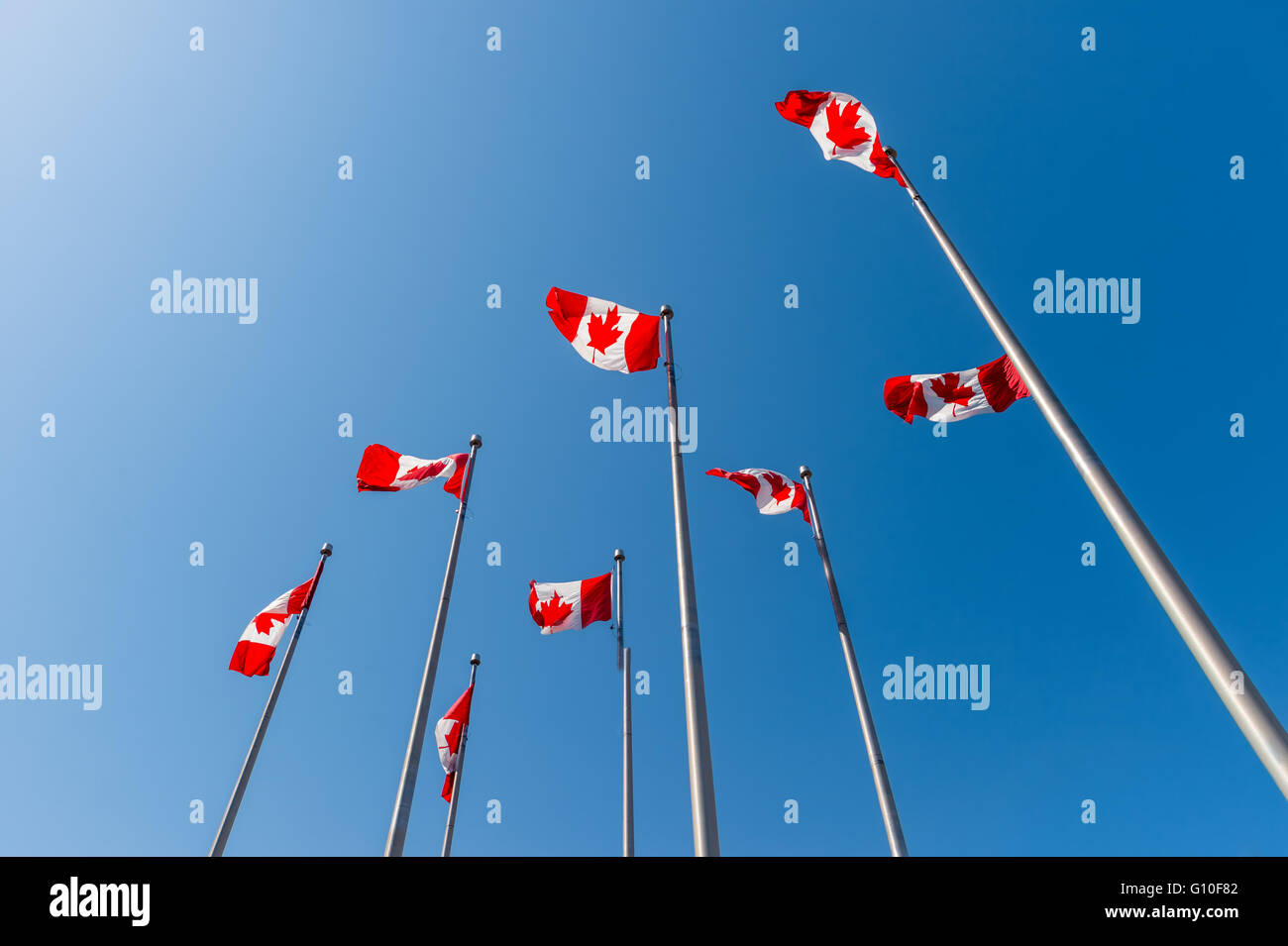Lines of flags hi-res stock photography and images - Alamy