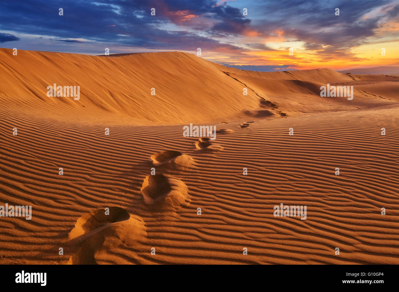 amazing desert view in sunset time Stock Photo - Alamy