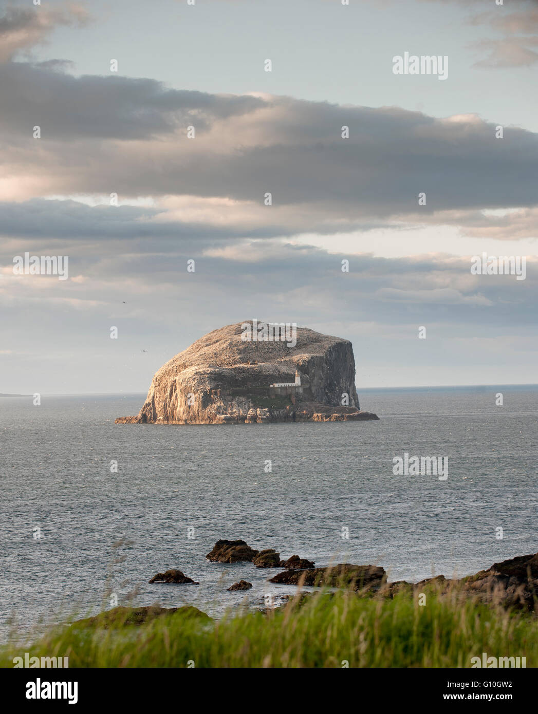 Bass rock sssi hi-res stock photography and images - Alamy