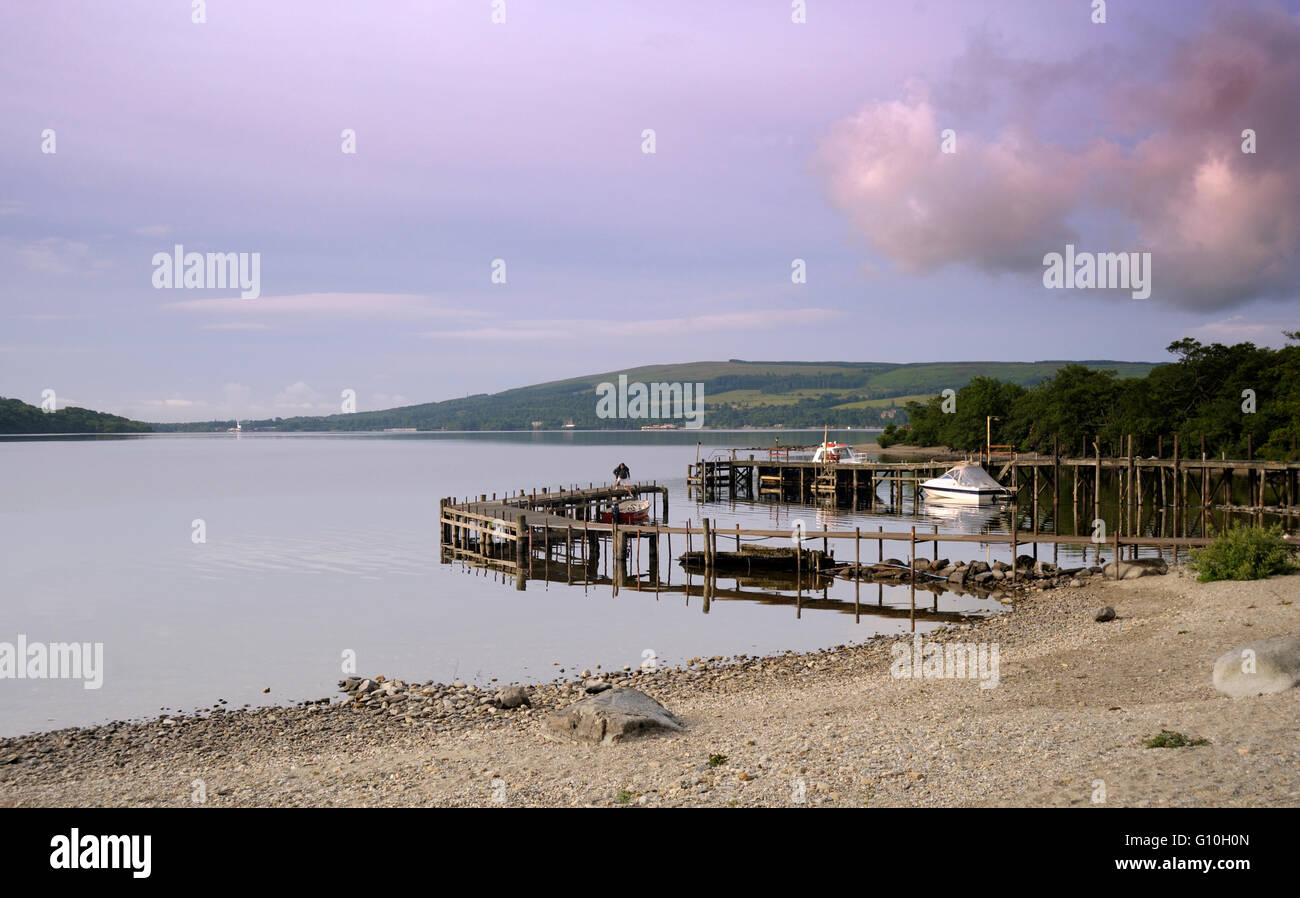 Island of Inchmurrin the largest of the many islands in Lock Lomond and ...