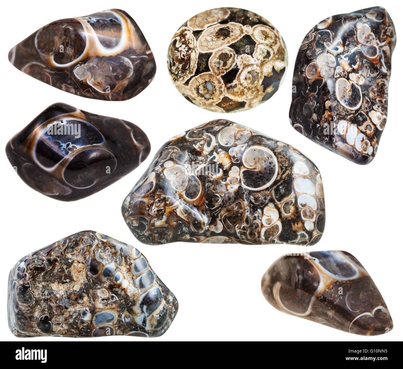 set of various turritella agate natural mineral stones and gemstones ...