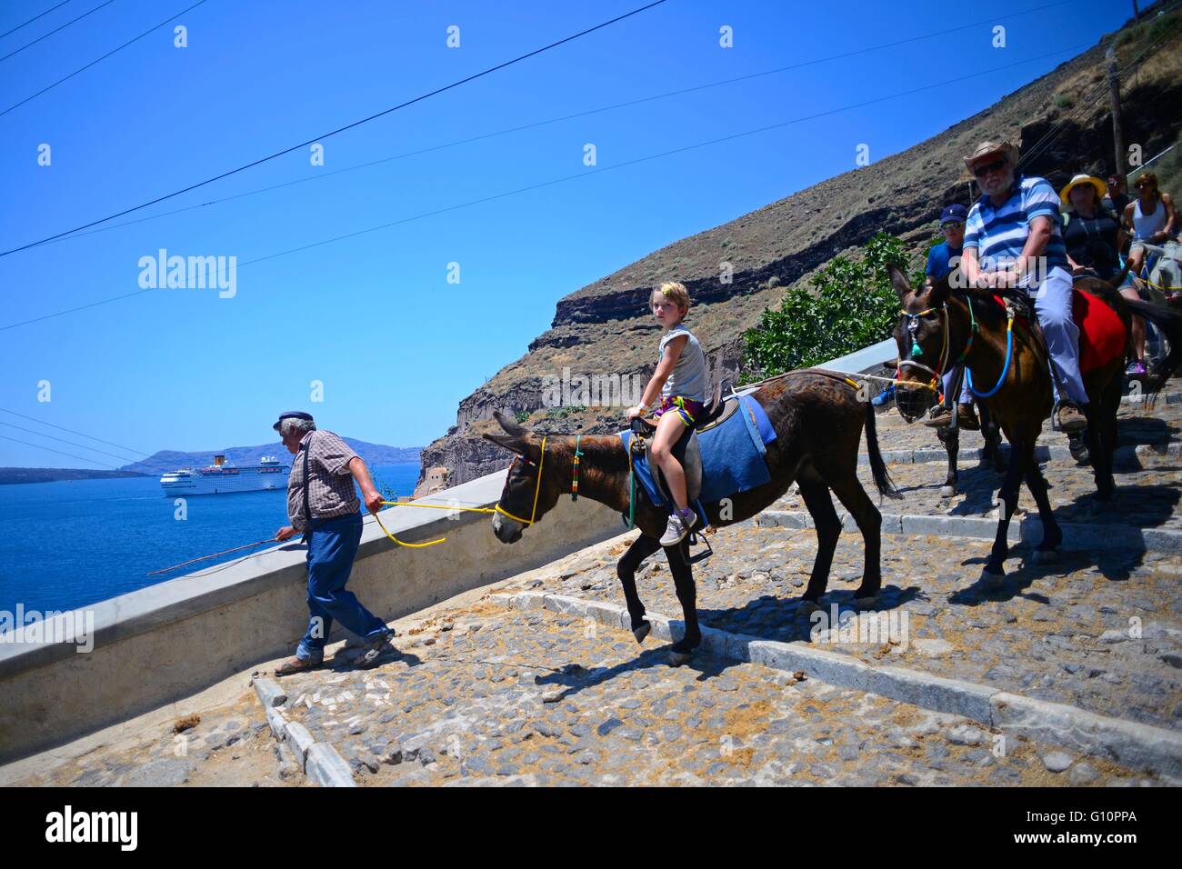 Mule taxis and donkey riding in Fira, Santorini, a cruel tradition that ...