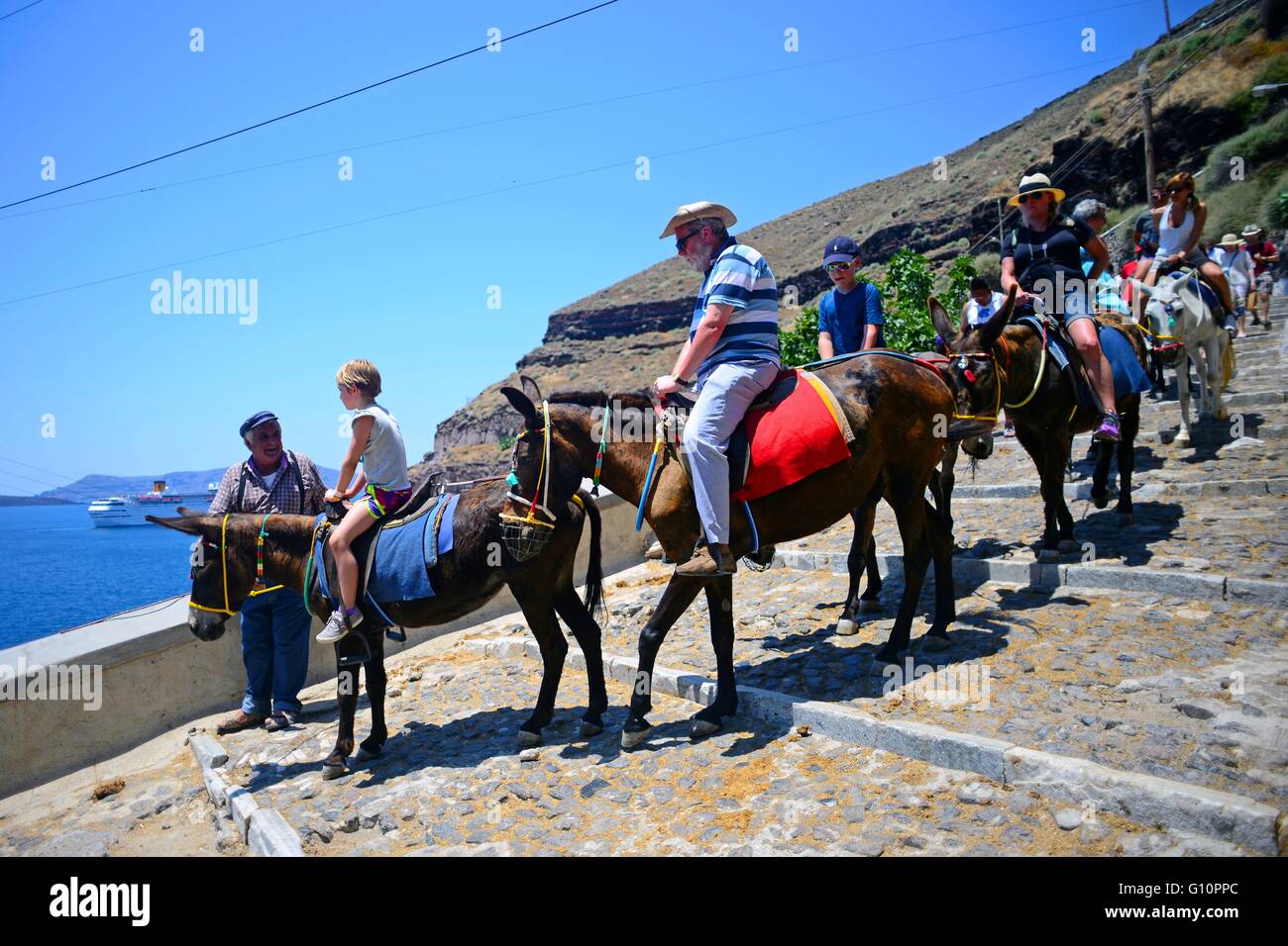 Mule taxis and donkey riding in Fira, Santorini, a cruel tradition that ...