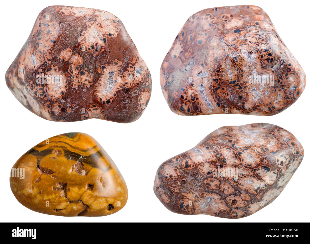 set of various leopard skin jasper natural mineral stones and gemstones ...