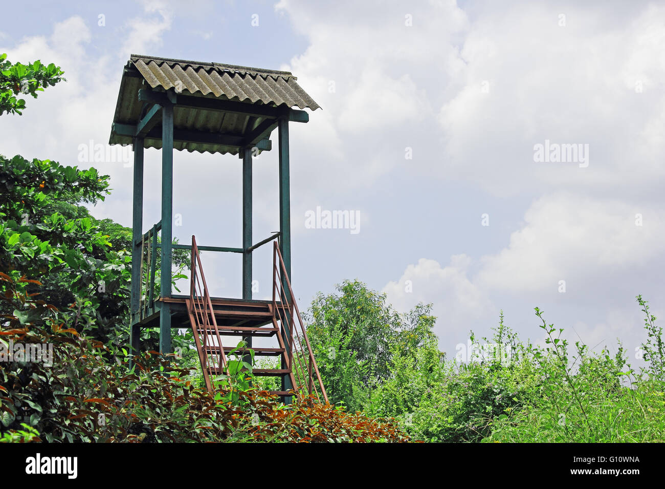 Forest watch tower hi-res stock photography and images - Alamy